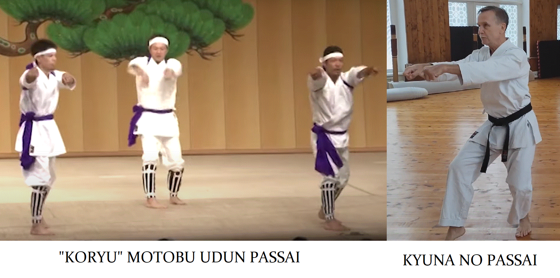 KORYU MOTOBU PASSAI: ANALYSIS AND COMPARISON :: Karate Shorin-ryu ...